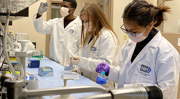 National Institute of Biomedical Imaging and Bioengineering