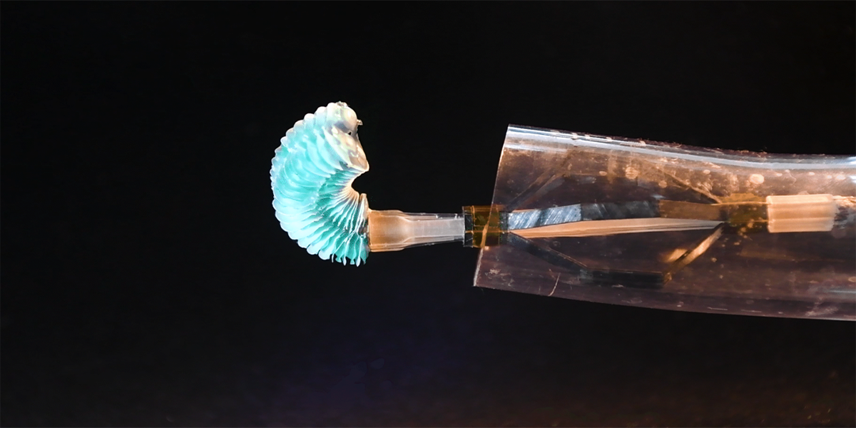 A Shape Shifting Robotic Catheter Could Make Heart Surgery Safer