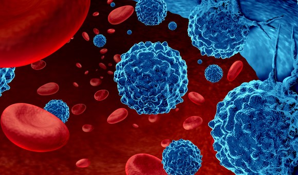 National Institute of Biomedical Imaging and Bioengineering