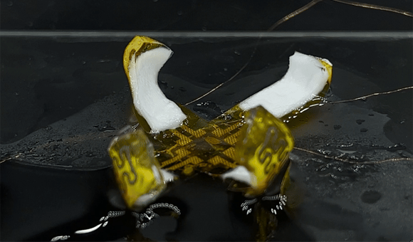 National Institute of Biomedical Imaging and Bioengineering