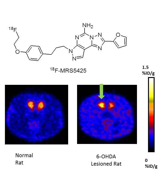 Molecular Tracer and Imaging Core Facility | National Institute of ...