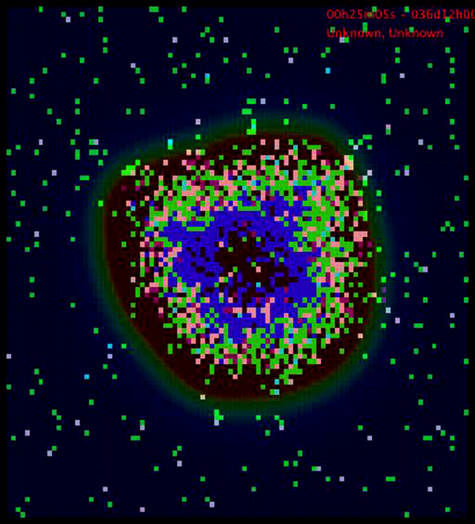 Computational Modeling | National Institute of Biomedical Imaging and ...
