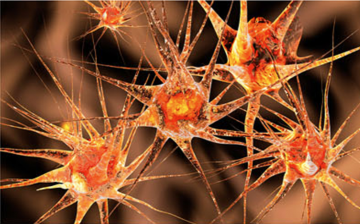 About NIBIB | National Institute of Biomedical Imaging and Bioengineering