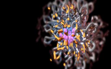 Labs @ NIBIB | National Institute of Biomedical Imaging and Bioengineering