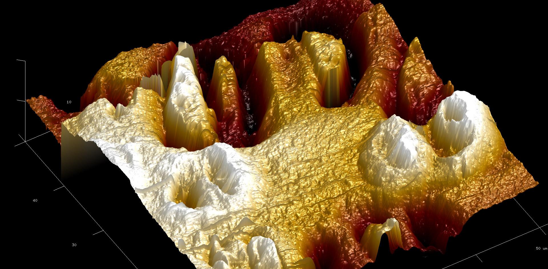 Labs @ NIBIB | National Institute of Biomedical Imaging and Bioengineering