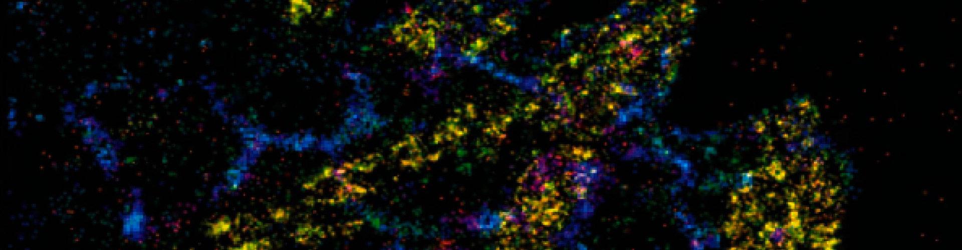 Labs @ NIBIB | National Institute of Biomedical Imaging and Bioengineering