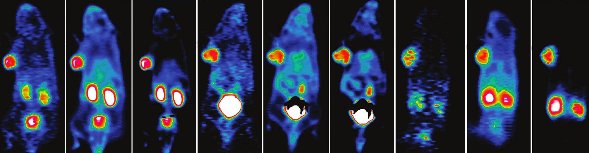Labs @ NIBIB | National Institute of Biomedical Imaging and Bioengineering